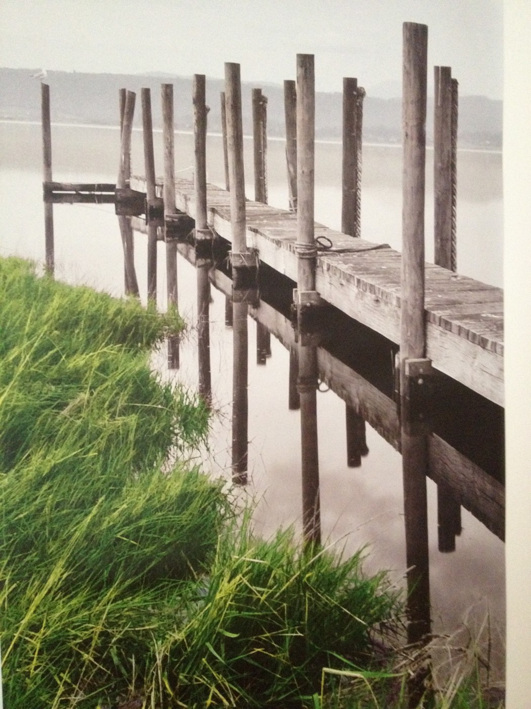 Steg Wasser – Ayurveda Sabine Rabensteiner